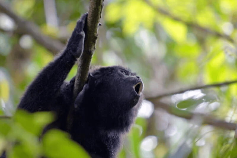 San Cristobal: 5 Days Jungle Adventure - Final Thoughts: Is It Worth It?