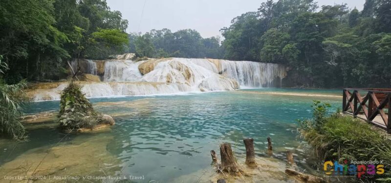 San Cristobal: Agua Azul, Misol Ha & Palenque Experience - The Highlights of the Day Trip