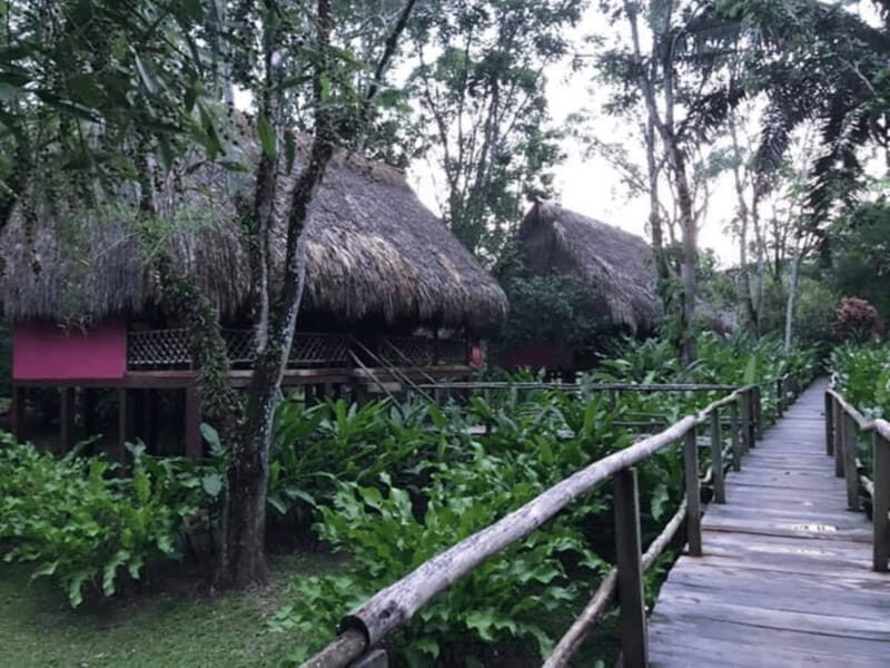 San Cristobal: Coffee Tour in the Mountains of Chiapas - Key Points