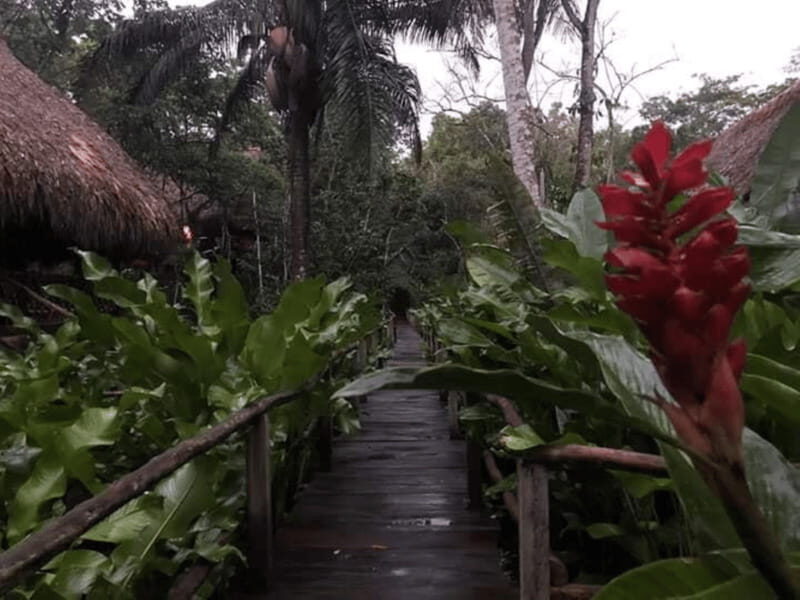 San Cristobal: Coffee Tour in the Mountains of Chiapas - The Experience: An In-Depth Look