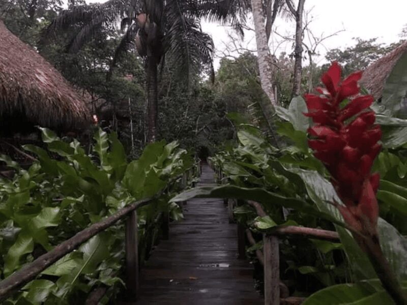 San Cristobal: Coffee Tour in the Mountains of Chiapas - Final Thoughts