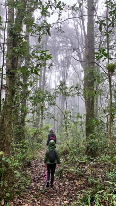 San Cristóbal de las Casas: Hiking on Huitepec Volcano - An In-Depth Look at the Huitepec Volcano Hike