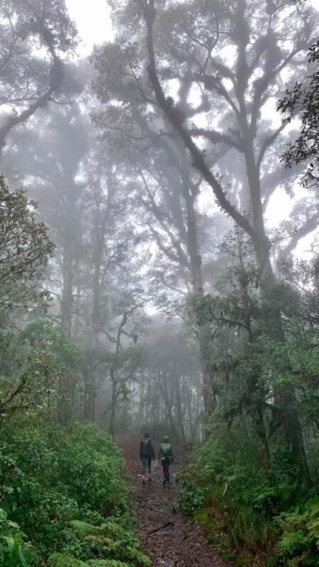 San Cristóbal de las Casas: Hiking on Huitepec Volcano - Final Thoughts