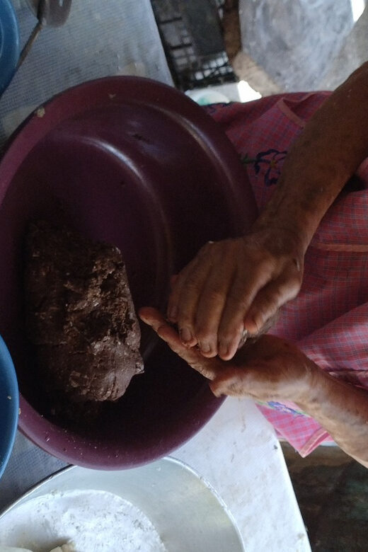 San Cristobal: Sumidero Canyon Tour & Pozol de Cacao Tour - Logistical Details and Value