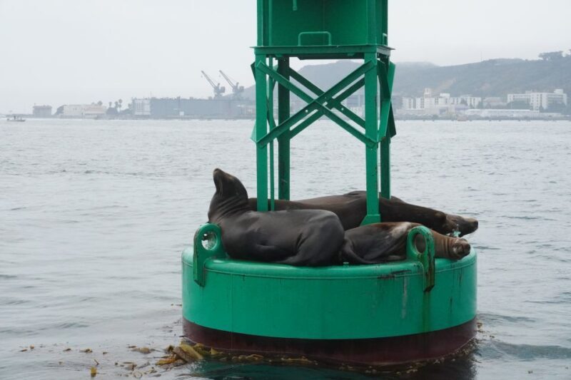 San Diego: 2 Person Private Sailing Cruise with Snacks - An In-Depth Look at the Experience