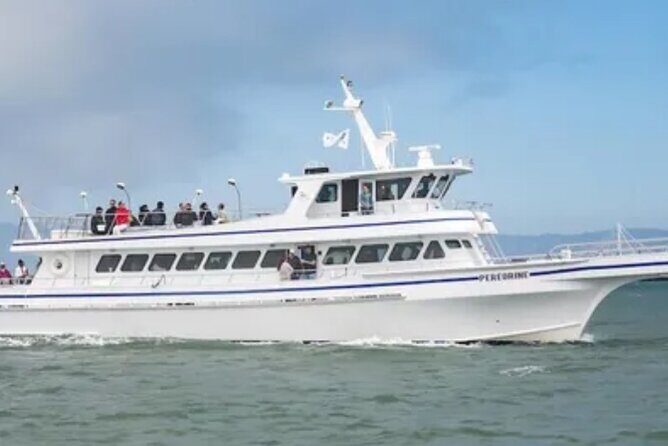 San Diego 4th of July Fireworks Cruise - FAQ: Your Practical Questions Answered