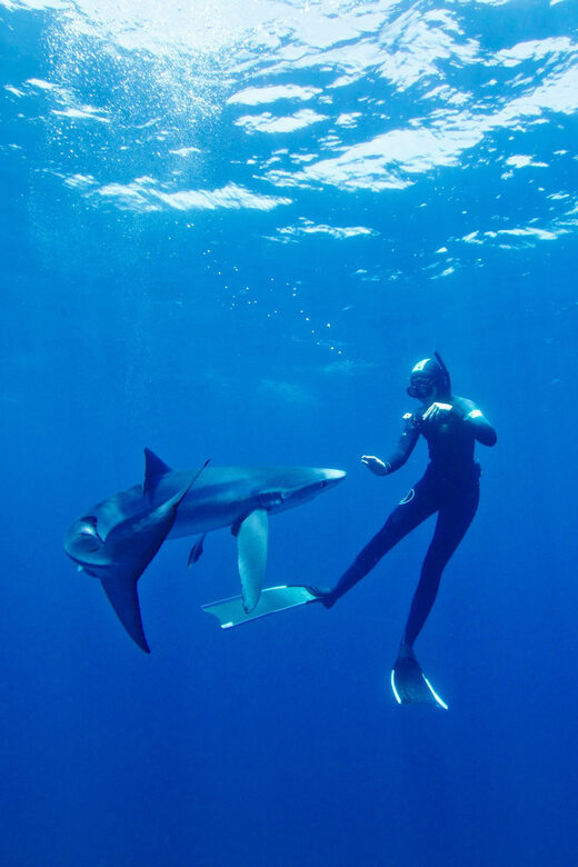 San Diego: Blue Shark Offshore Snorkel Adventure! - Frequently Asked Questions