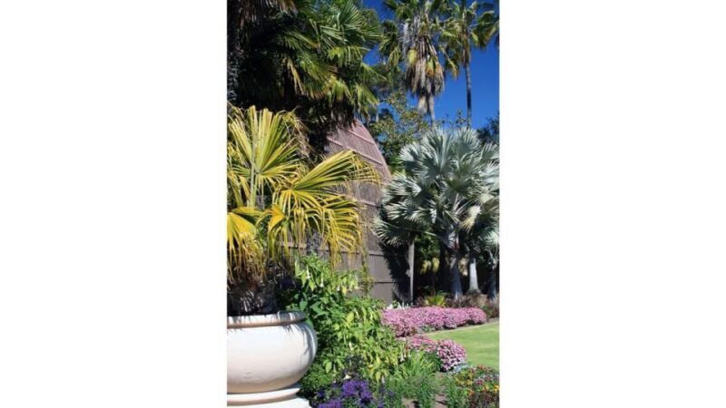 San Diego Botanical Garden Entry Ticket and Transportation - An Overview of the Experience