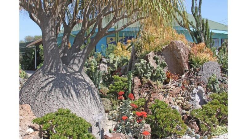 San Diego Botanical Garden Entry Ticket and Transportation - Who Will Enjoy This Tour?