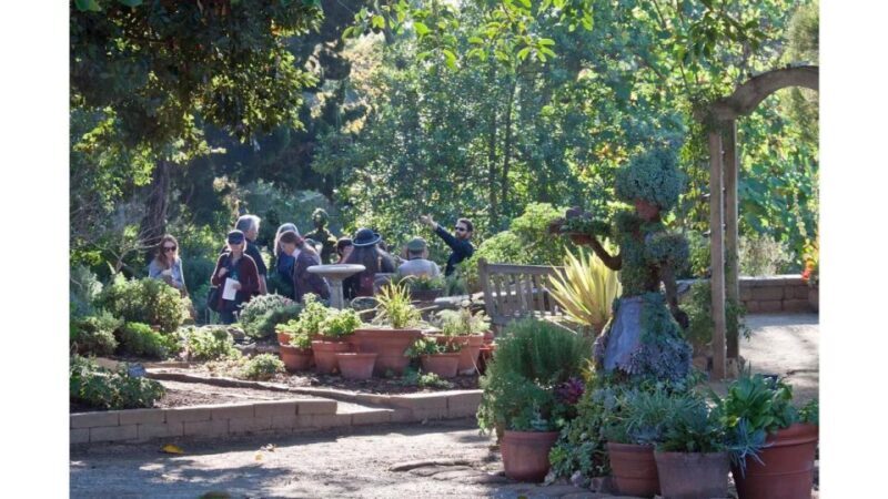 San Diego Botanical Garden Entry Ticket and Transportation - Final Thoughts