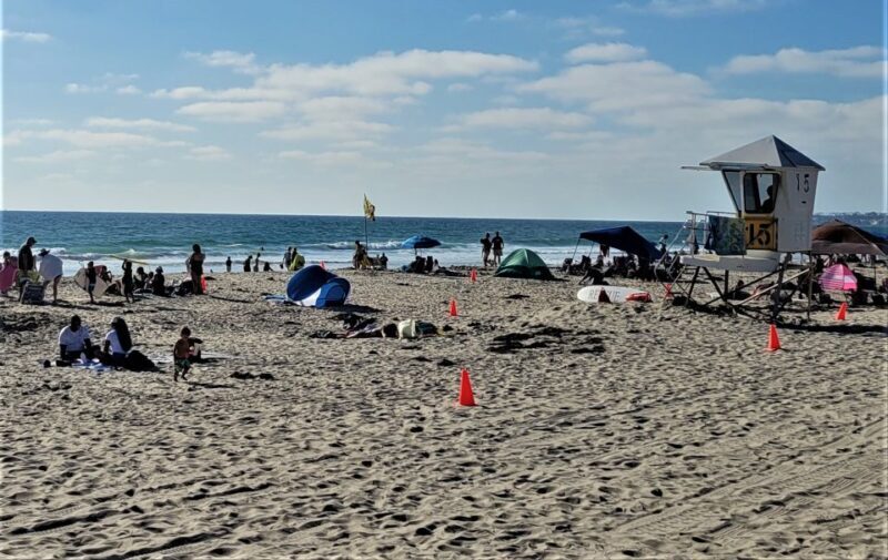 San Diego: City and Beaches Guided Highlights Tour - Who Will Love This Tour