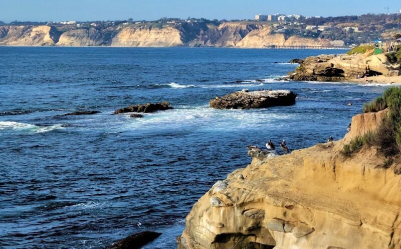San Diego: City and Beaches Guided Highlights Tour - Final Thoughts