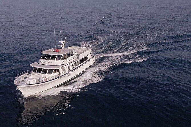 San Diego Dolphin Watch Sunset Cruise Mission Bay on the Legacy - An In-Depth Look at the Sunset Dolphin Watch Cruise