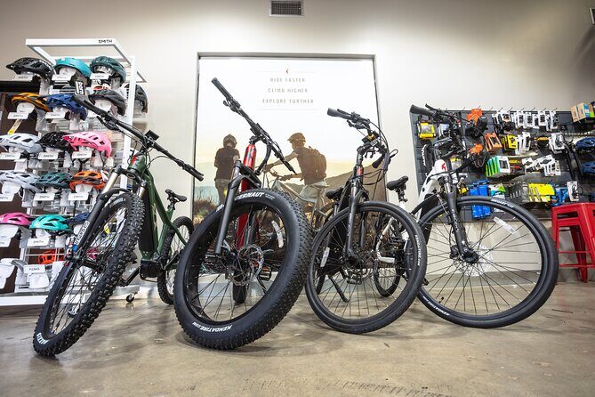 San Diego ebike Rentals - Experience California's Finest Scenery - Who Is This Tour Best For?