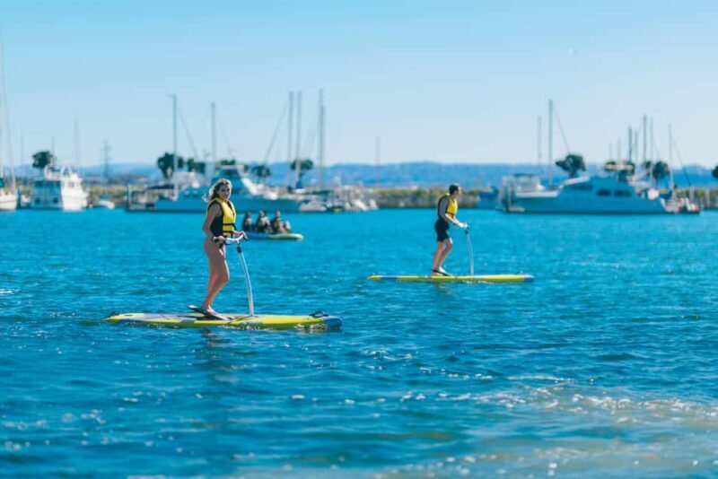 San Diego: Elliptical Paddle Board Rental - The Experience in Detail