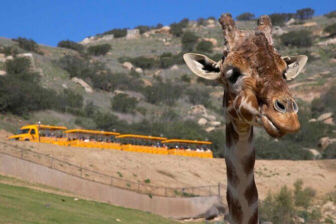 San Diego Explorer Pass: Save up to 50% - Includes San Diego Zoo - Practical Considerations for Travelers