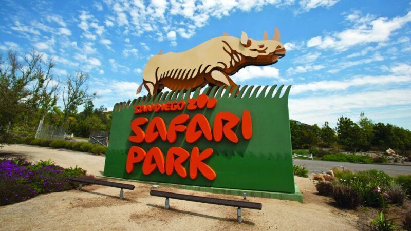 San Diego Explorer Pass: Tickets to 2-7 Attractions - An Overview of What to Expect