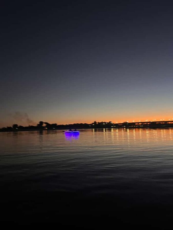 San Diego: Glass Kayak Tour - Key Points