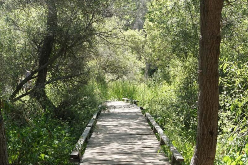 San Diego: Guided Natural History Walk - Final Thoughts