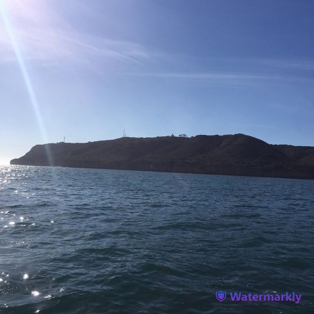 San Diego: Half-Day Marine Wildlife Tour with Lunch - Who Should Book This Tour?