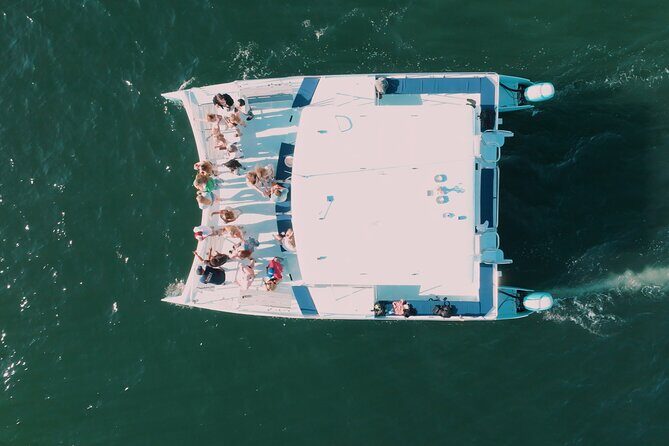 San Diego Harbor Cruise | Splash through San Diego Bay! - Who Will Love This Cruise?