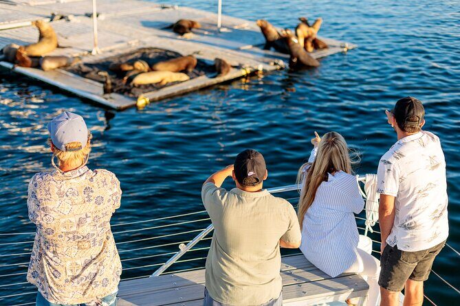 San Diego Harbor Cruise | Splash through San Diego Bay! - Frequently Asked Questions