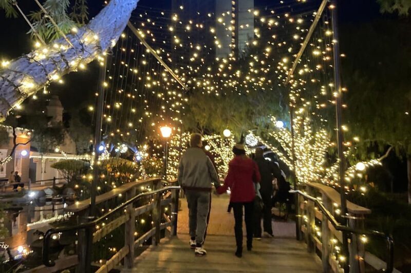 San Diego: Holiday Lights and Sights Trolley Tour - The Sum Up