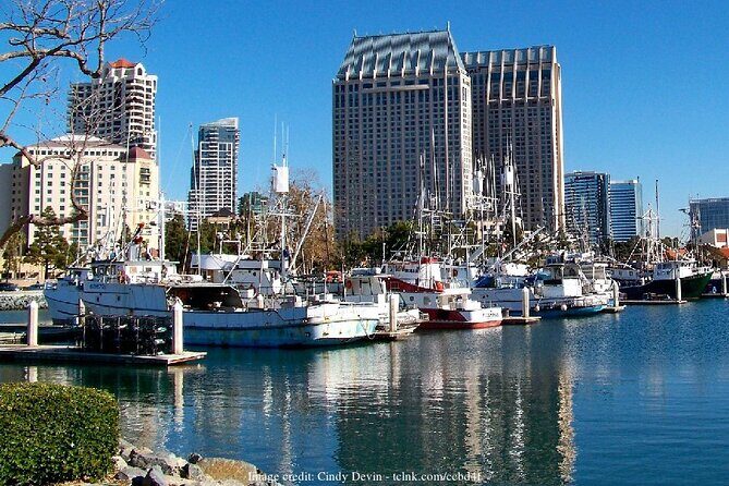 San Diego in a Day: Private Full-Day Highlights Driving Tour - Final Thoughts