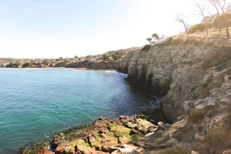 San Diego: La Jolla Cove Guided Snorkeling Tour - FAQ
