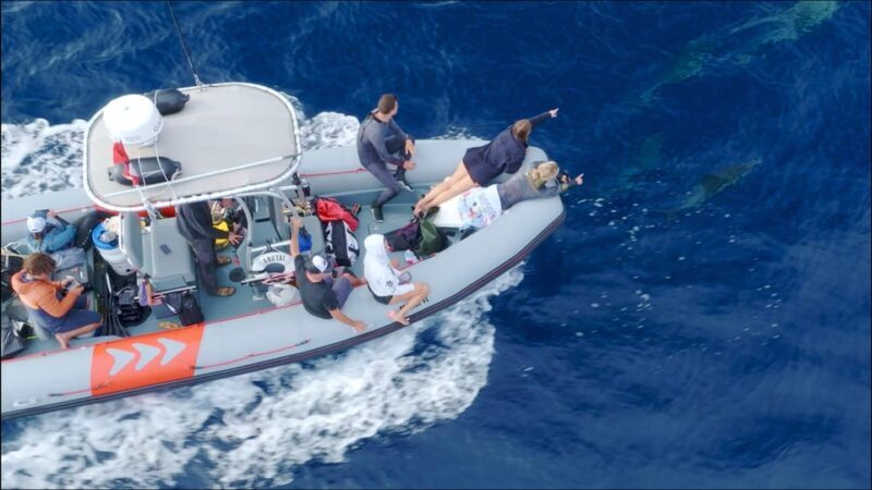 San Diego Ocean Safari: 6-Hour Snorkel Adventure! - What Makes This Tour Worth Considering?