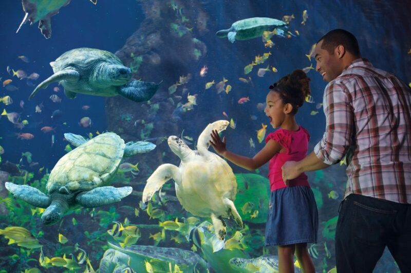 San Diego Pass Plus: 50+ Attractions - Includes LEGOLAND® - FAQ