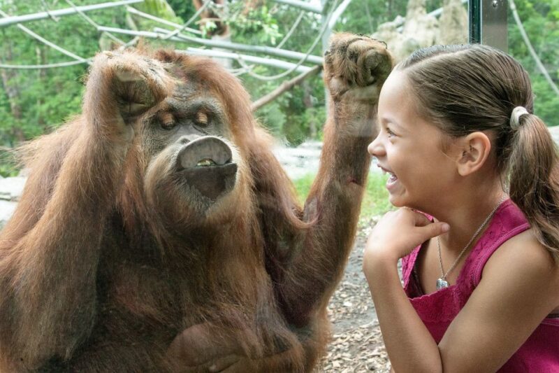 San Diego Pass: Save up to 50% - Includes LEGOLAND - Balancing the Good with the Considerations