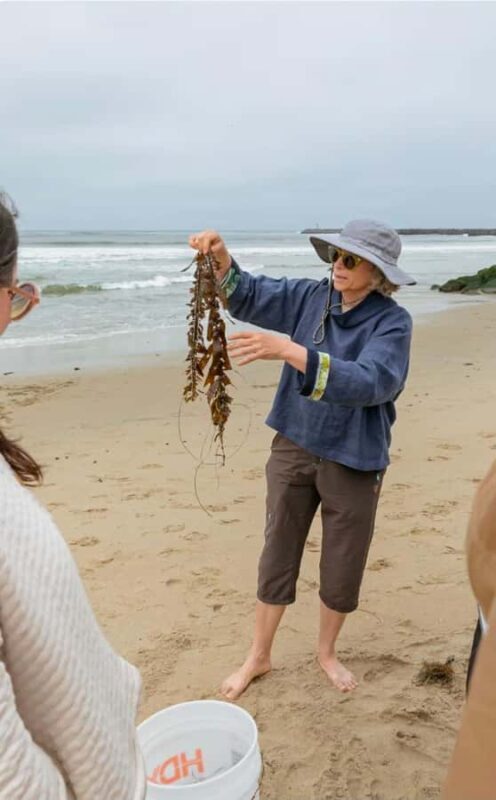 San Diego Photo Tour with a Private Photographer - Key Points