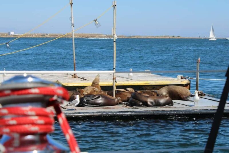 San Diego: Private Morning Sail up to 12 guests - A Closer Look at the San Diego Private Morning Sail