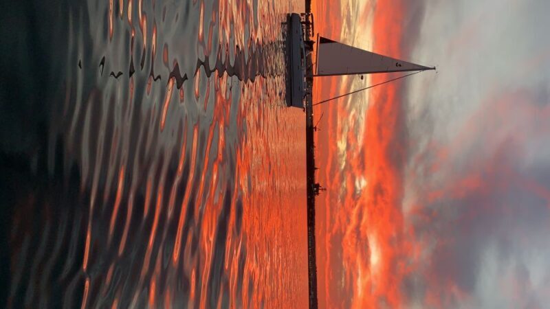 San Diego: San Diego Bay Sunset & Daytime Sailing Experience - Key Points