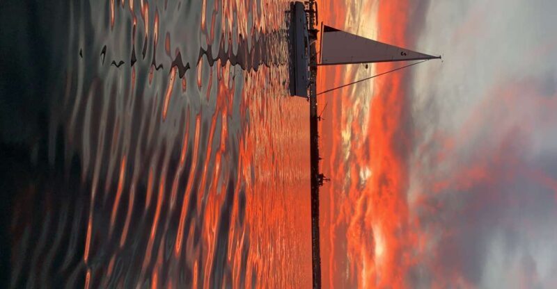 San Diego: San Diego Bay Sunset & Daytime Sailing Experience - Key Points