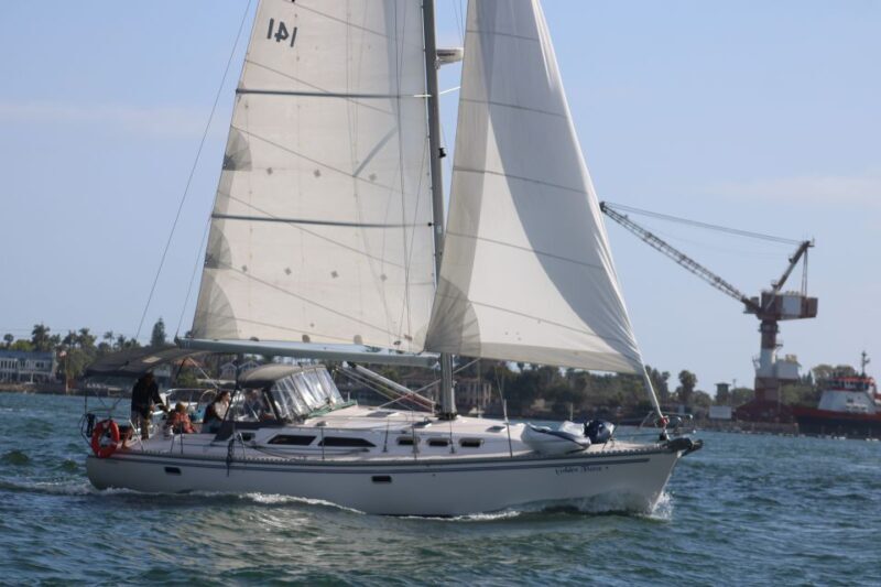 San Diego: San Diego Bay Sunset & Daytime Sailing Experience - Who Will Love This Experience?