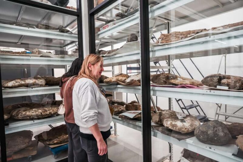 San Diego: San Diego Natural History Museum Ticket - Visiting Details and Practical Tips