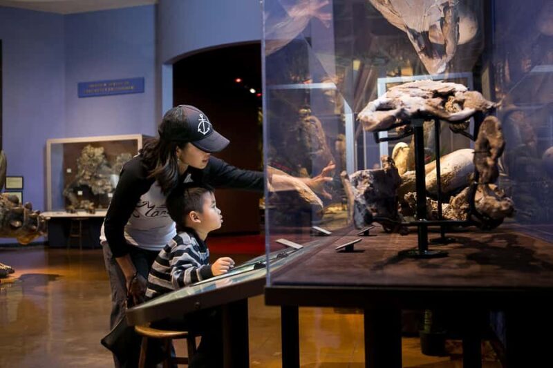San Diego: San Diego Natural History Museum Ticket - FAQ