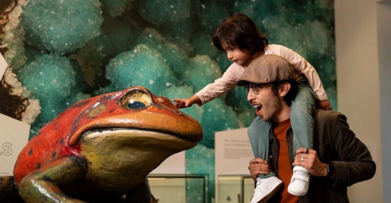 San Diego: San Diego Natural History Museum Ticket - The Films and Giant-Screen Theater Experience