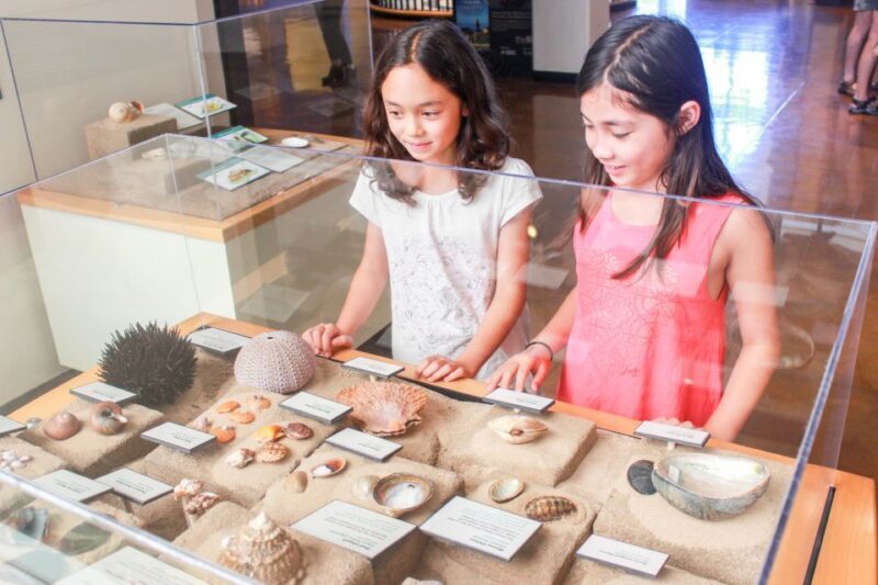 San Diego: San Diego Natural History Museum Ticket - Final Thoughts
