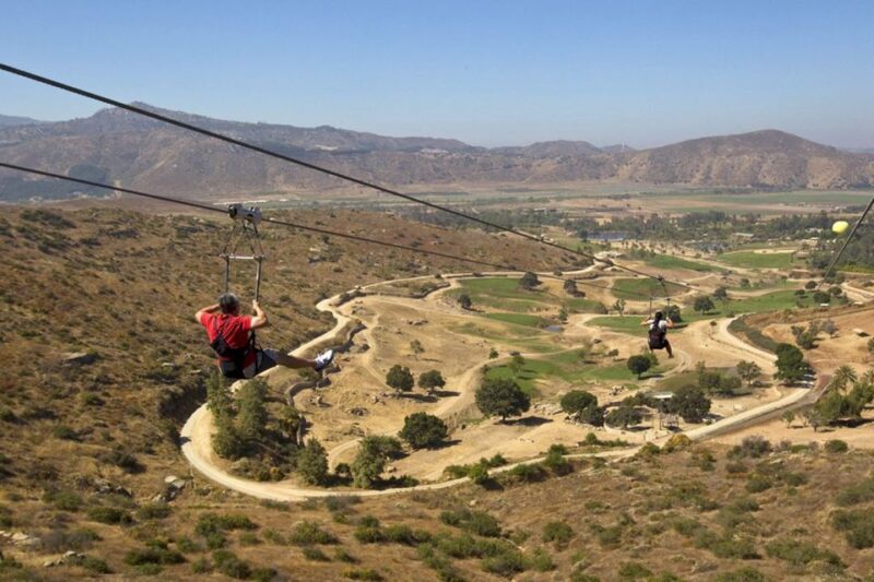 San Diego: San Diego Zoo Safari Park 1-Day Ticket - Authentic Experiences and Real Traveler Feedback