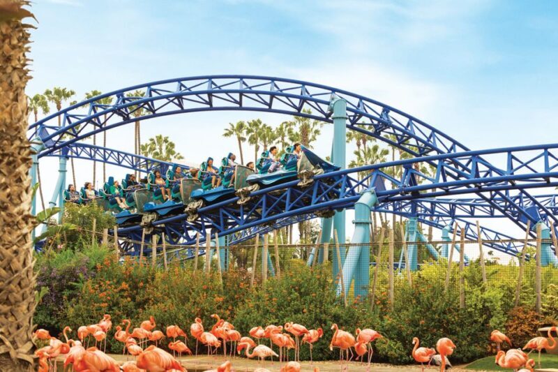 San Diego: SeaWorld Skip-the-Line Park Admission Ticket - The Value of Your Ticket