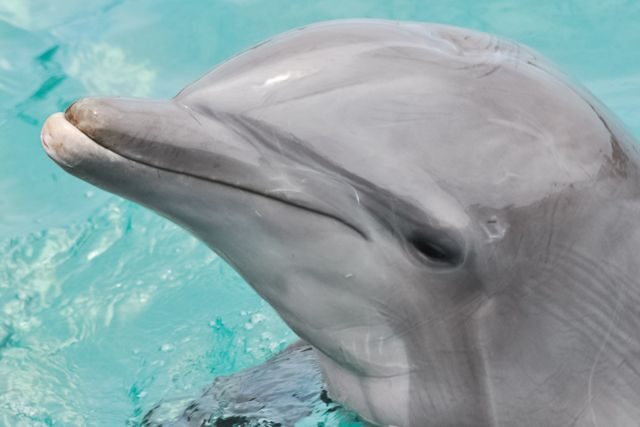 San Diego: SeaWorld Skip-the-Line Park Admission Ticket - Real Experiences from Visitors