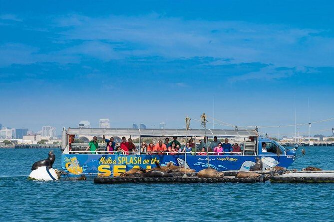 San Diego Shore Excursion: San Diego Seal Tour - Accessibility and practicalities