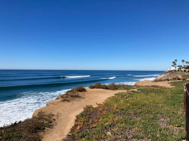 San Diego: Surf Coaching Experience With a Local Pro Surfer - What to Expect from Your San Diego Surf Coaching Tour