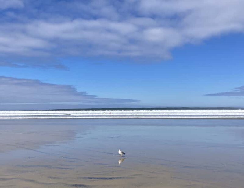 San Diego: Surf Coaching Experience With a Local Pro Surfer - Who Should Consider This Tour