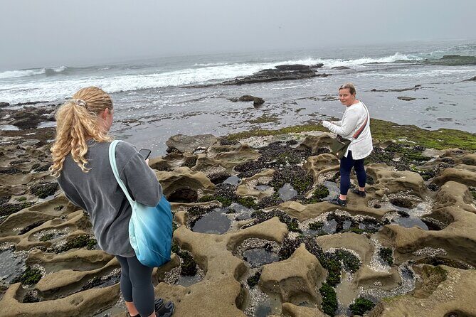 San Diego Tide Pool Tour - FAQs
