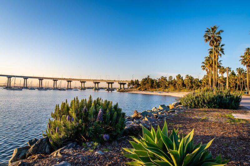 San Diego: USS Midway with Waterfront Walking Tour - Authentic Insights from Reviews