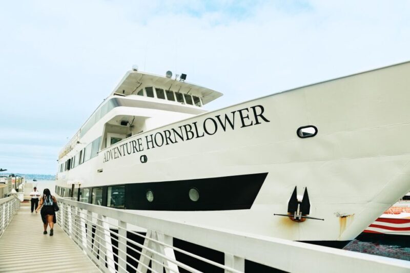 San Diego: Whale and Dolphin Watching Cruise - The Upsides: What Makes This Tour Worth It